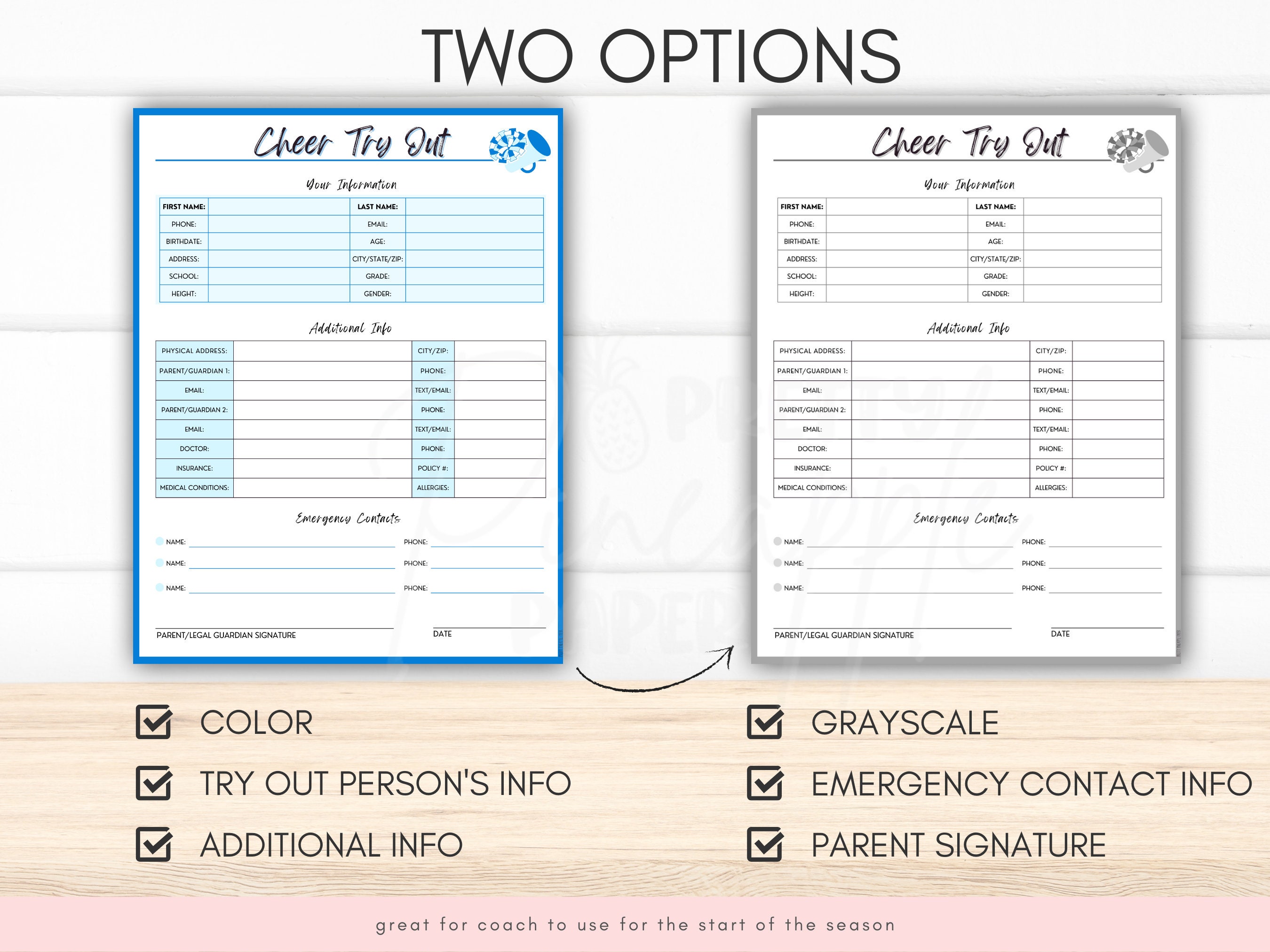 Printable Cheer Try Out Form, Instant Download Template, Cheerleader ...