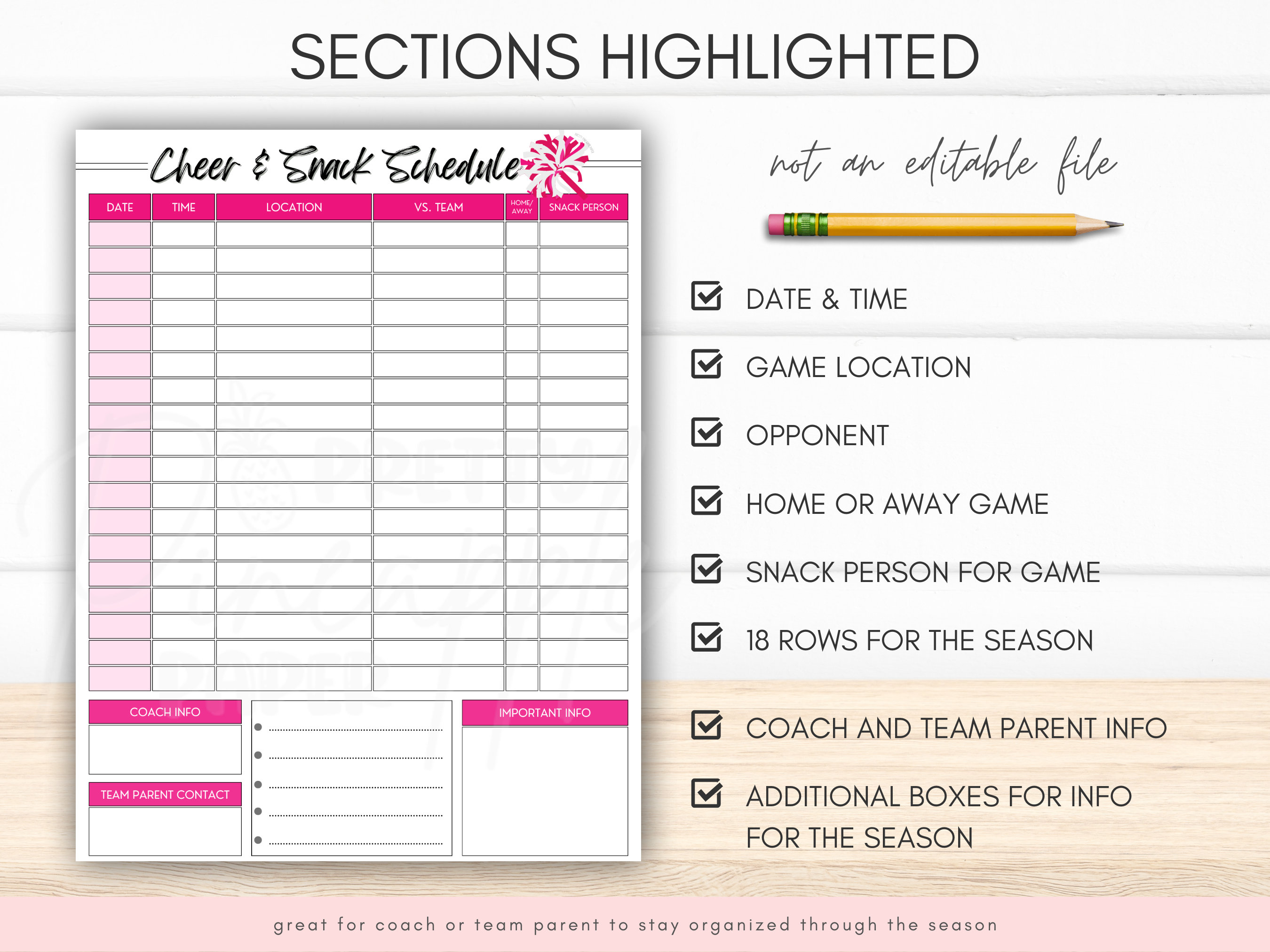 Printable Cheerleader Squad Game Day and Snack Schedule, Instant ...