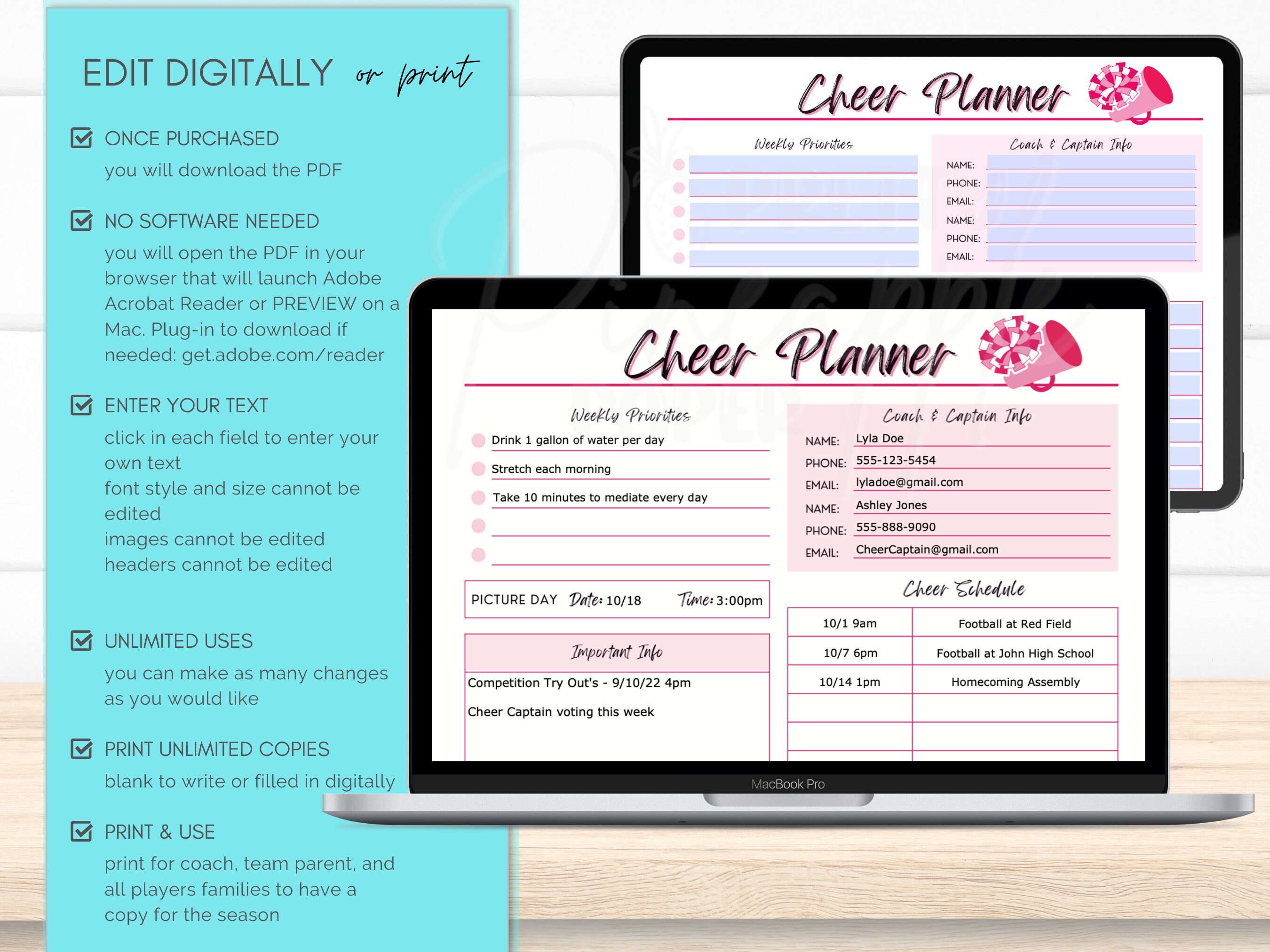 Fillable Cheer Season Planner Sheet Printable, Instant Digital Download ...