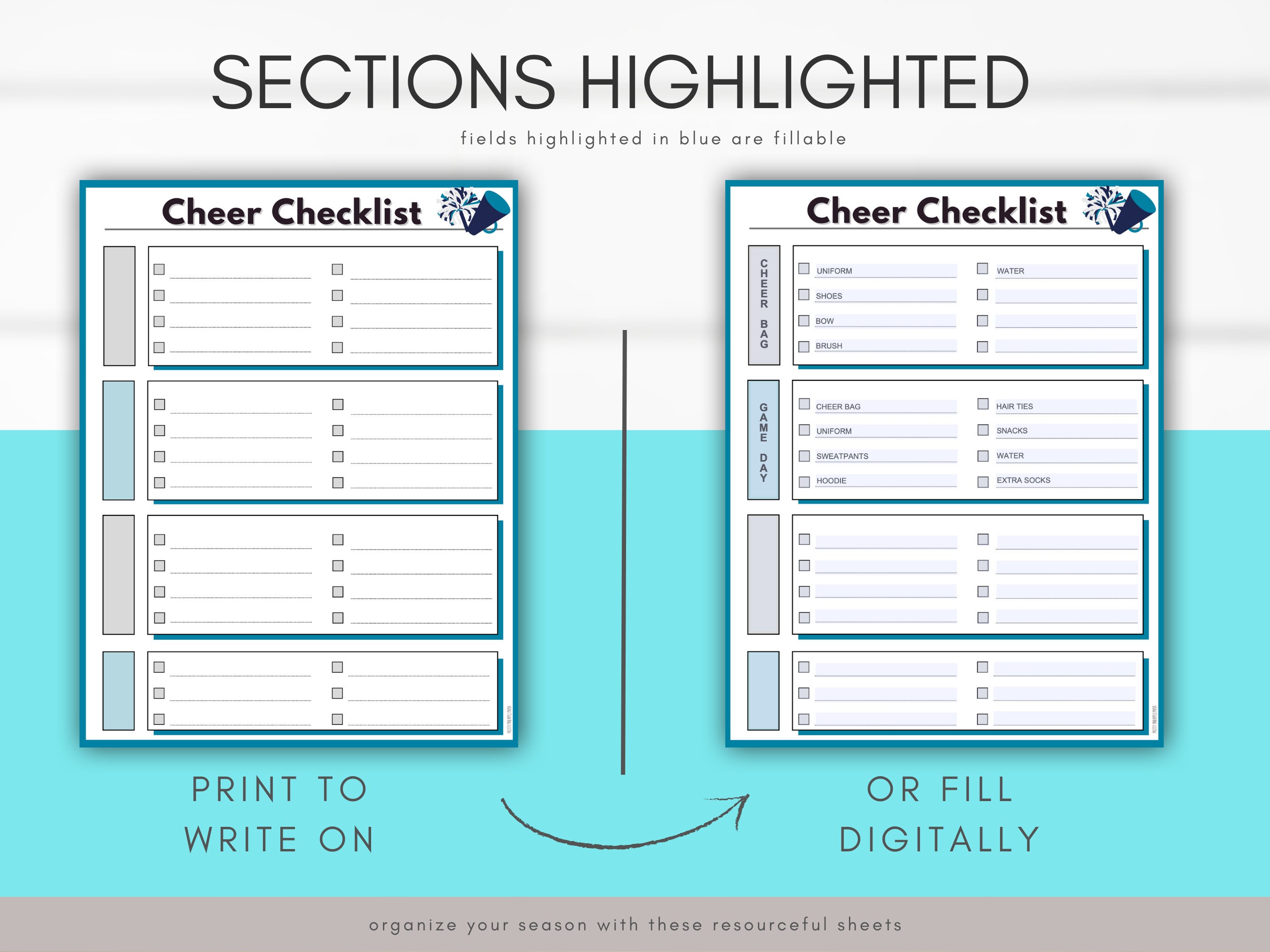 Fillable Cheer Planner for Coach, Captain, Team, Game Sport Schedule ...