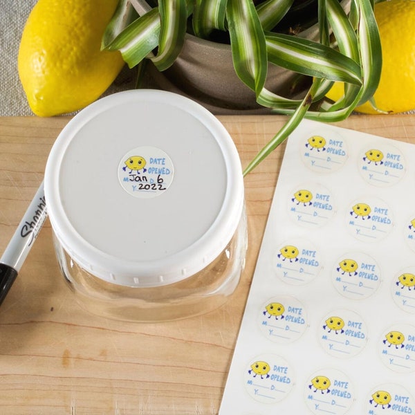 Expiry Date Stickers - Etsy