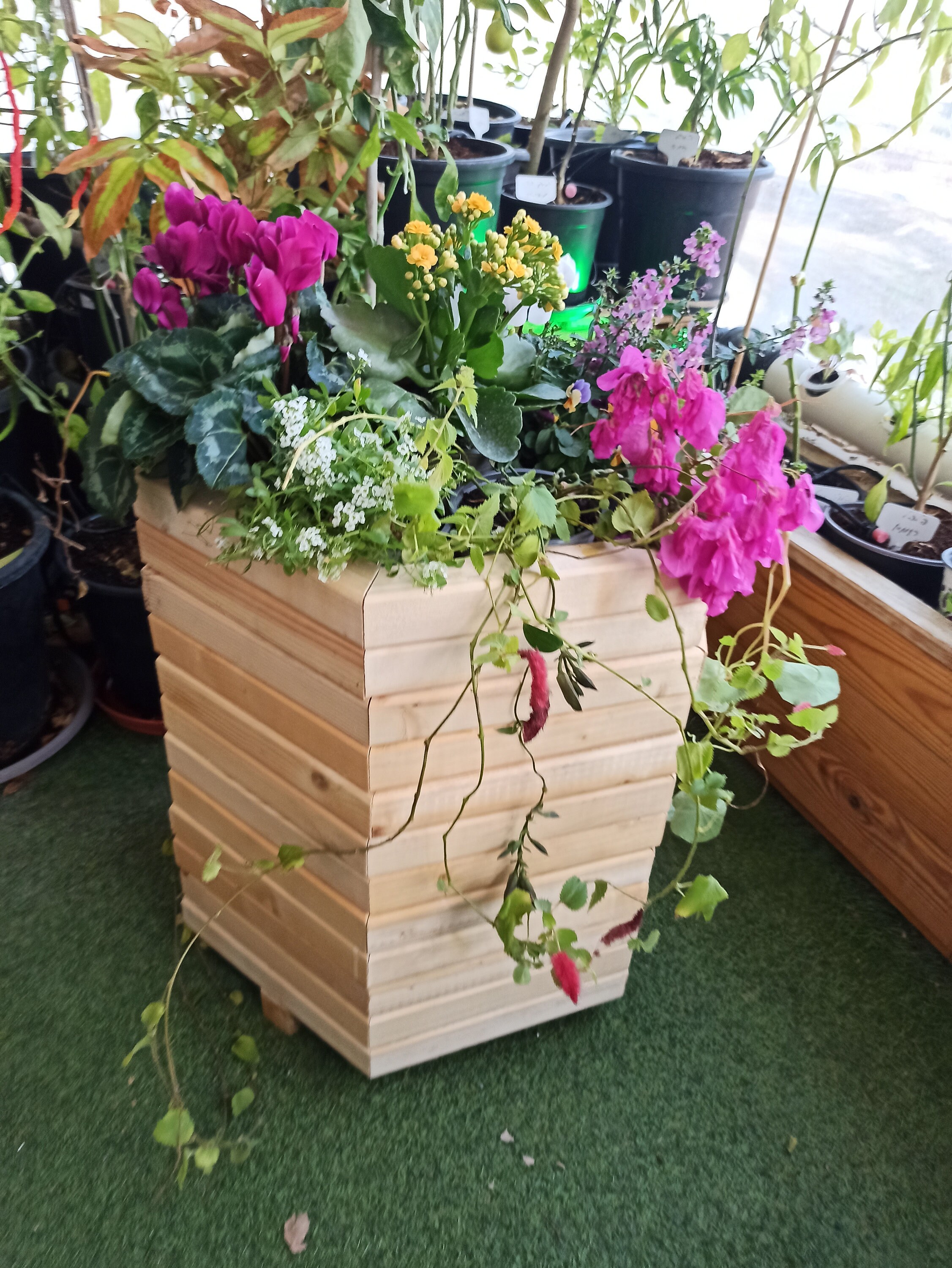 Wooden Hexagonal Planter Plan. Planter Plan for Home and Garden.cedar ...