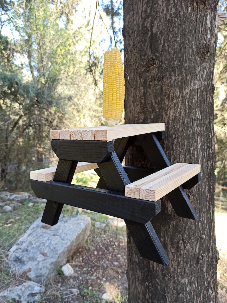 Squirrel Picnic Table Feeder, Squirrel Table, Pet Feeder, DIY Squirrel ...
