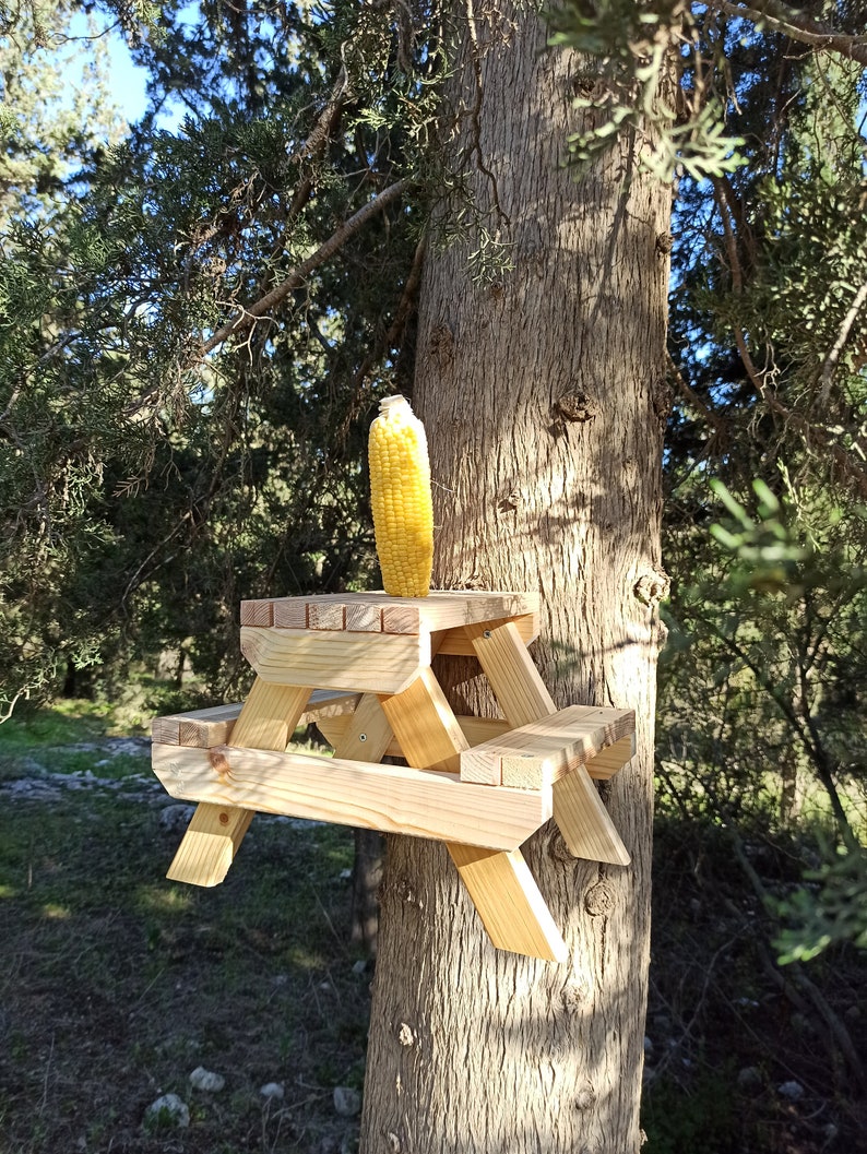 Squirrel Picnic Table Feeder, Squirrel Table, Pet Feeder, DIY Squirrel ...