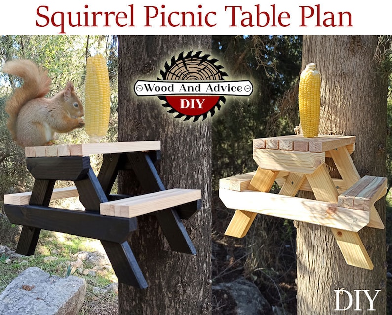 Squirrel Picnic Table Feeder, Squirrel Table, Pet Feeder, DIY Squirrel ...