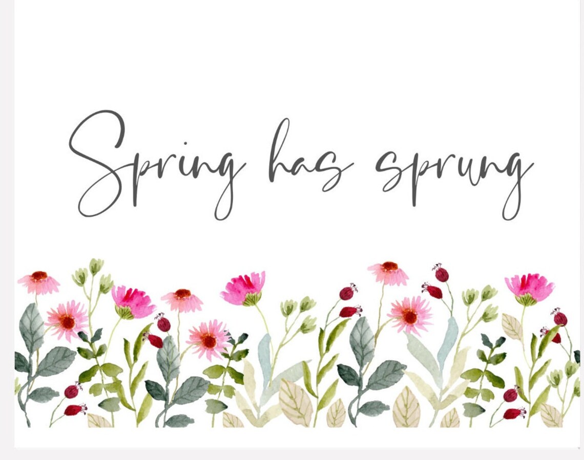 SPRING HAS SPRUNG Print Spring Print Seasons Art Print - Etsy UK
