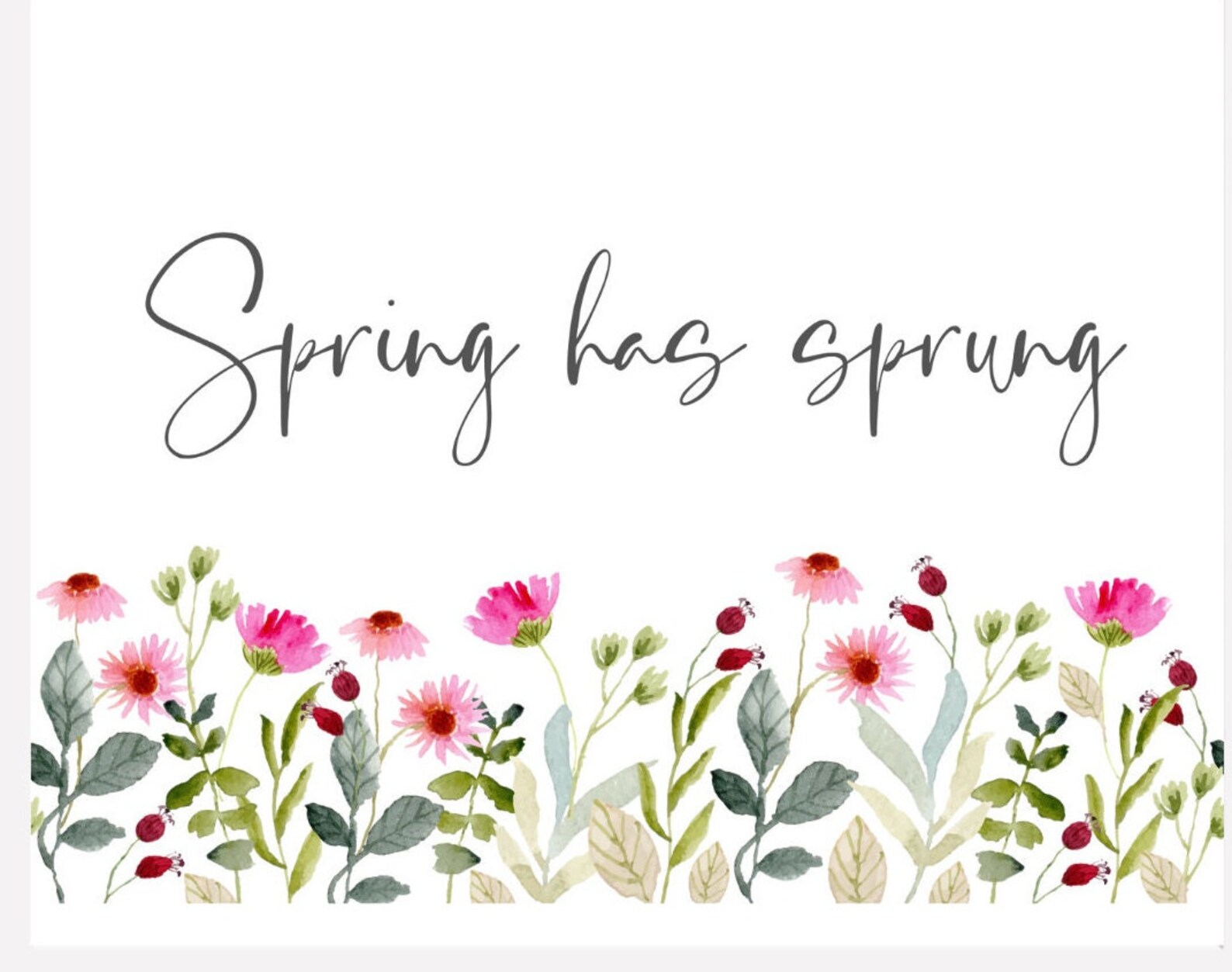 SPRING HAS SPRUNG Print Spring Print Seasons Art Print - Etsy UK