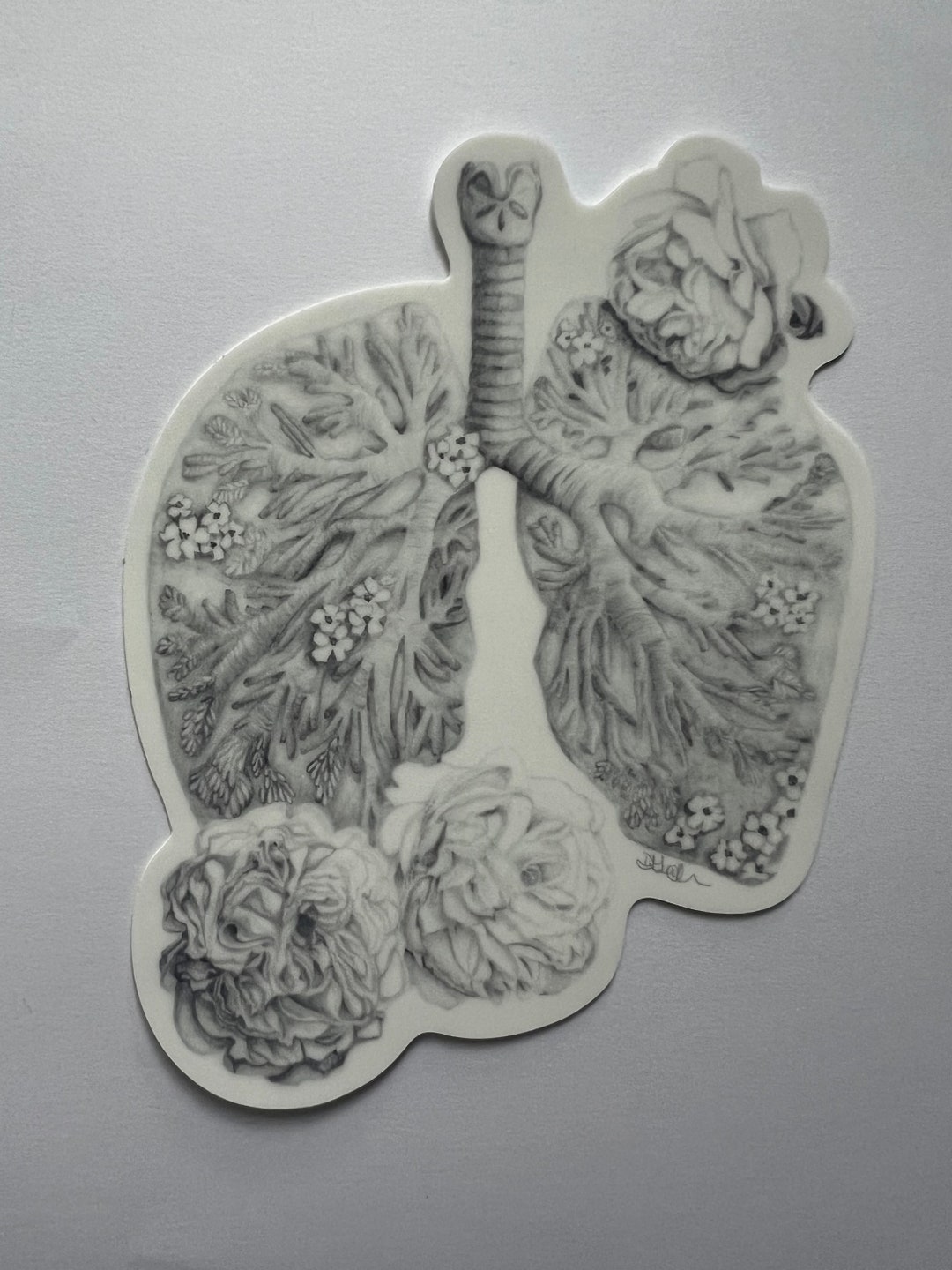 Lungs Vinyl Sticker Water Bottle Sticker Anatomical Sticker Anatomical ...
