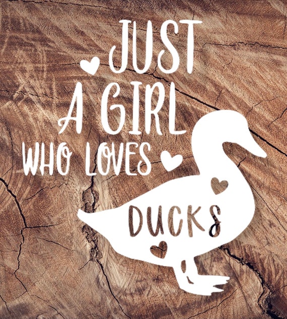 Duck Window Decals - Etsy