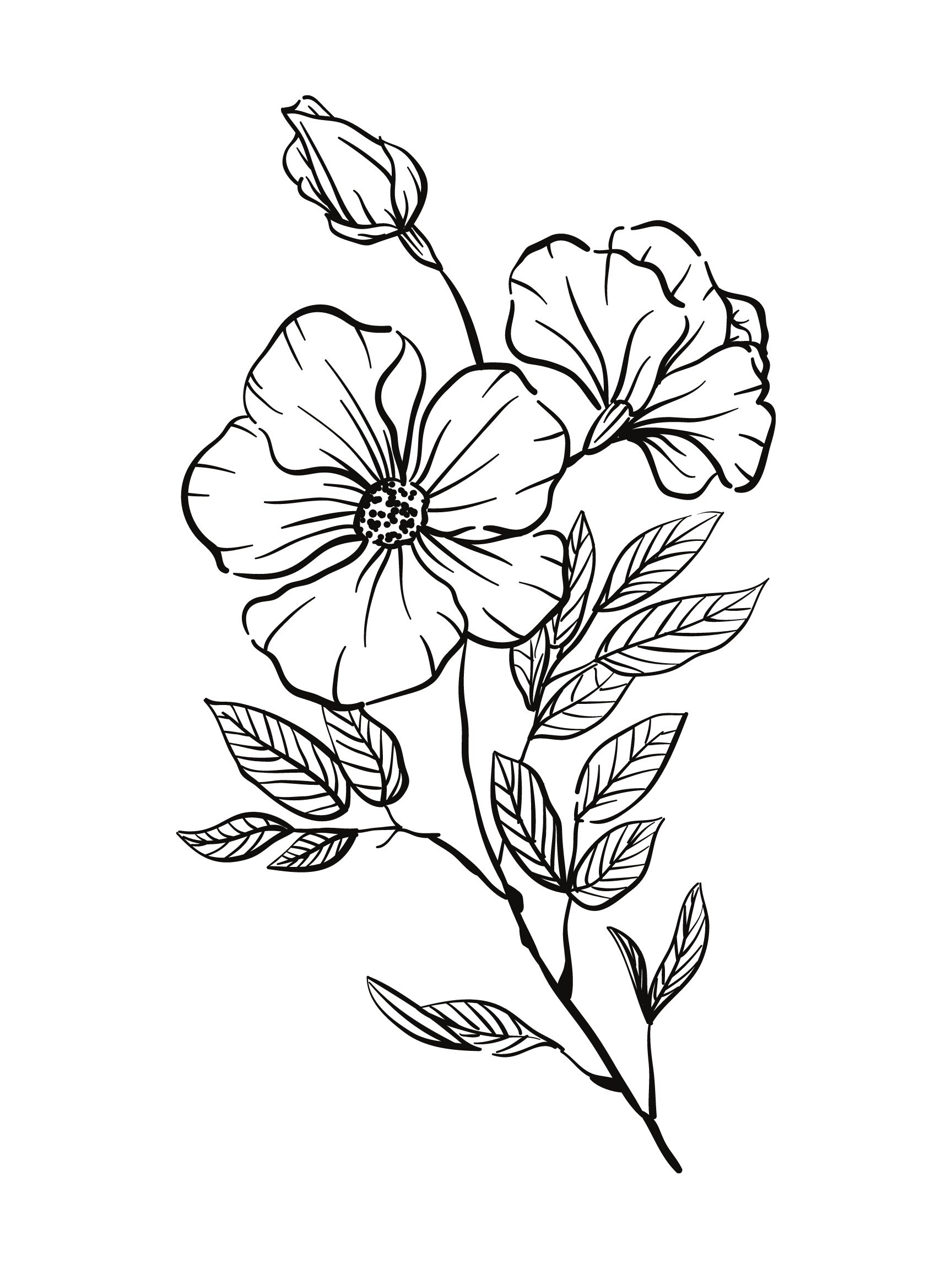 Floral Coloring Pages 50 Printable Flower Designs by GBN Publishing ...