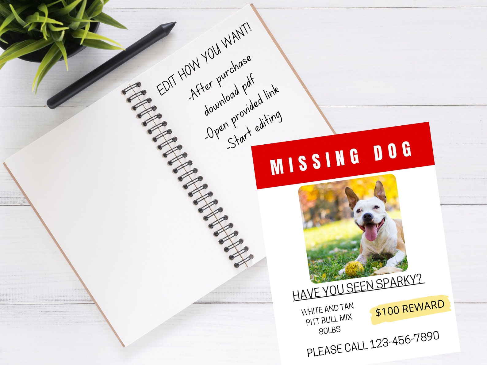 Missing Dog Poster Template Missing Dog Flyer Editable | Etsy