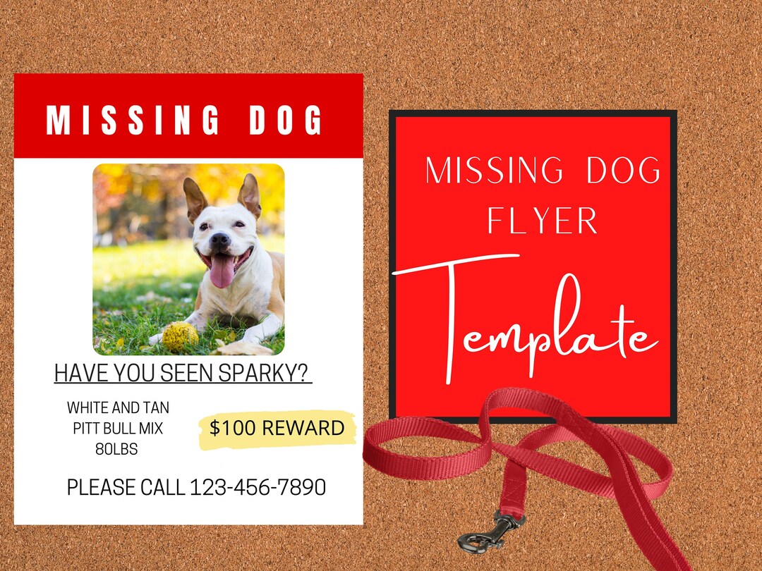 Missing Dog Poster Template, Missing Dog Flyer, Editable Flyer, Canva ...