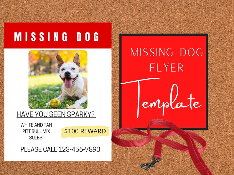 Missing Dog Poster Template Missing Dog Flyer Editable | Etsy