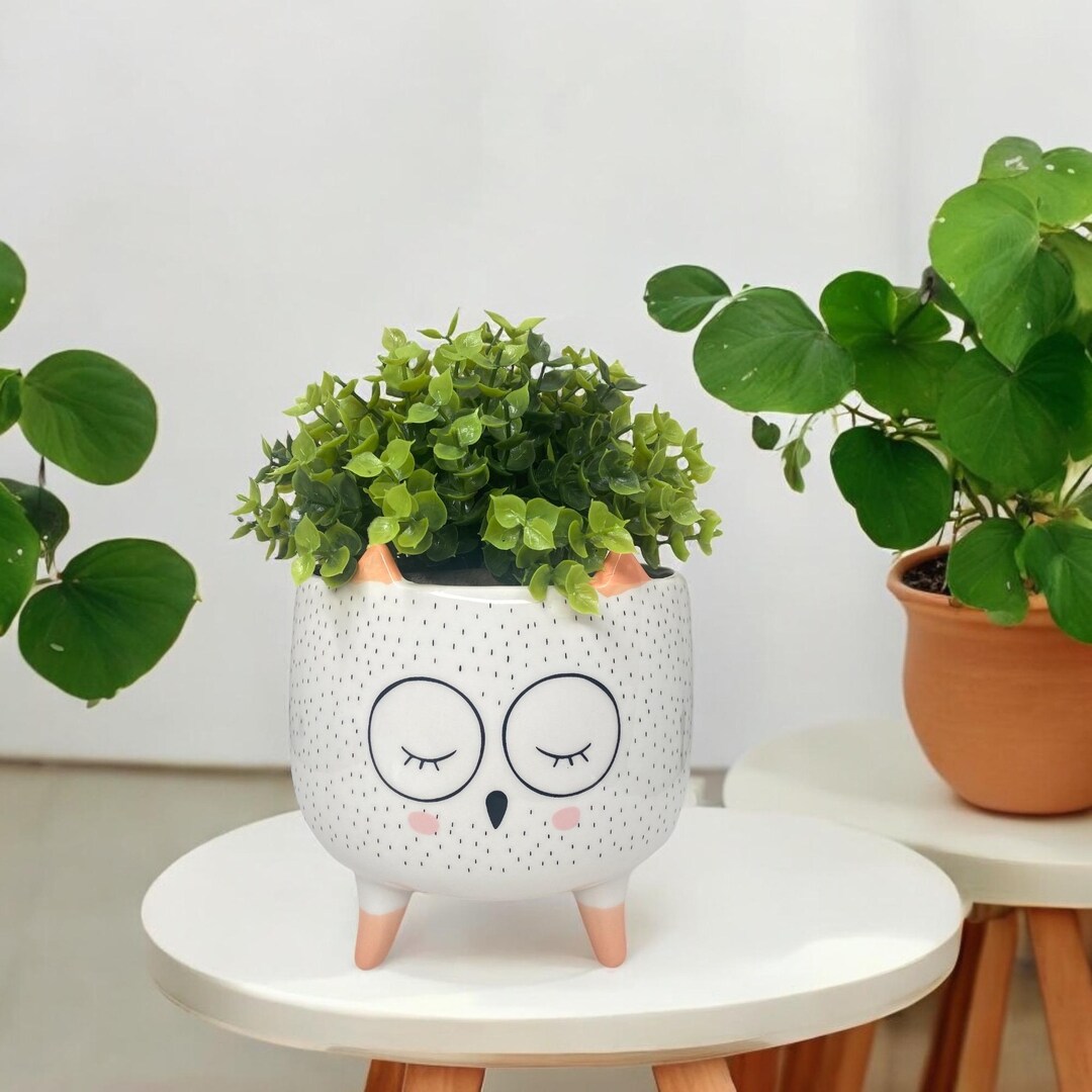 Hedgehog Ceramic Planter: Hand-painted Indoor Succulent Pot - Etsy
