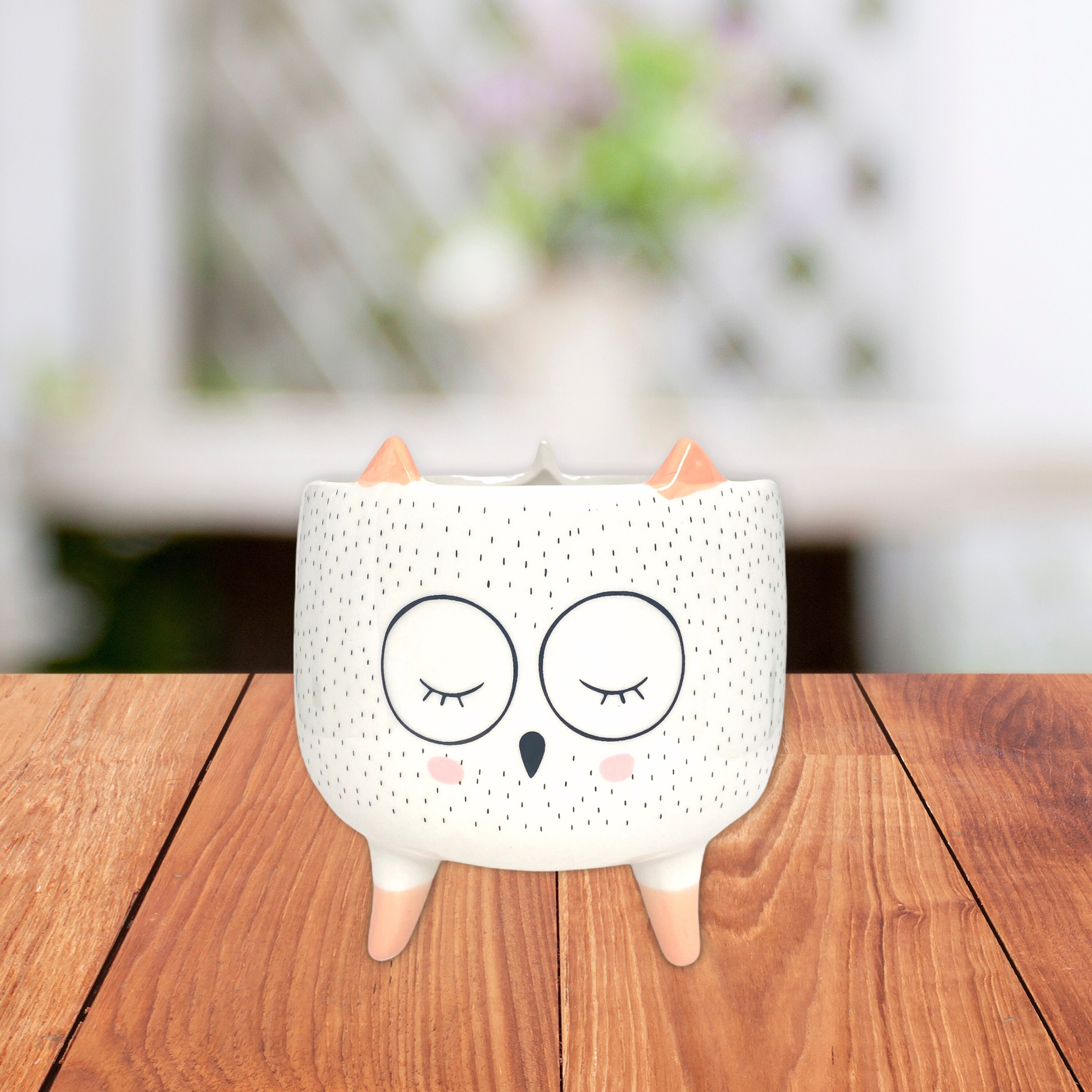 Hedgehog Ceramic Planter: Hand-painted Indoor Succulent Pot - Etsy