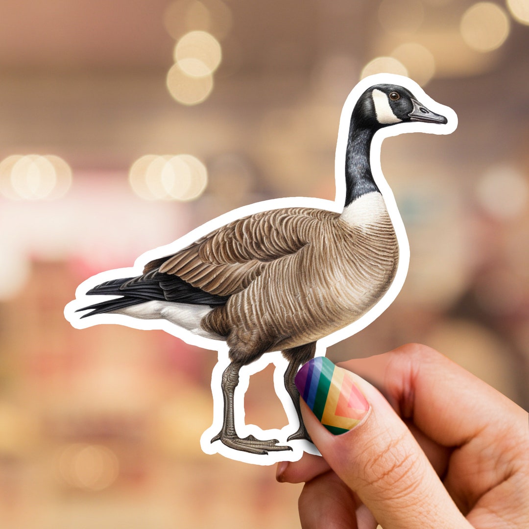 Canadian Goose Sticker, Goose Sticker, Bird Sticker, Wildlife Sticker ...