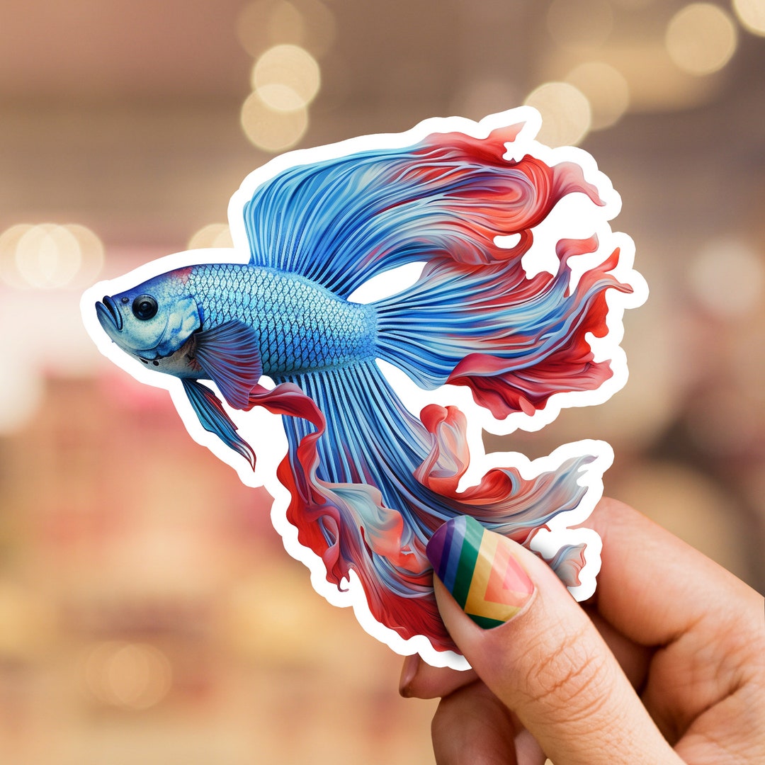 Siamese Fighting Fish Sticker, Sticker for Water Bottle, Laptop Sticker ...