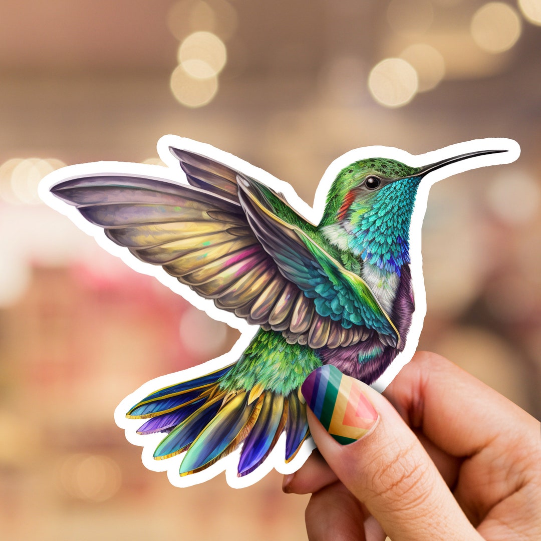 Hummingbird Sticker, Humming Bird Sticker, Bird Sticker, Hydro Flask ...