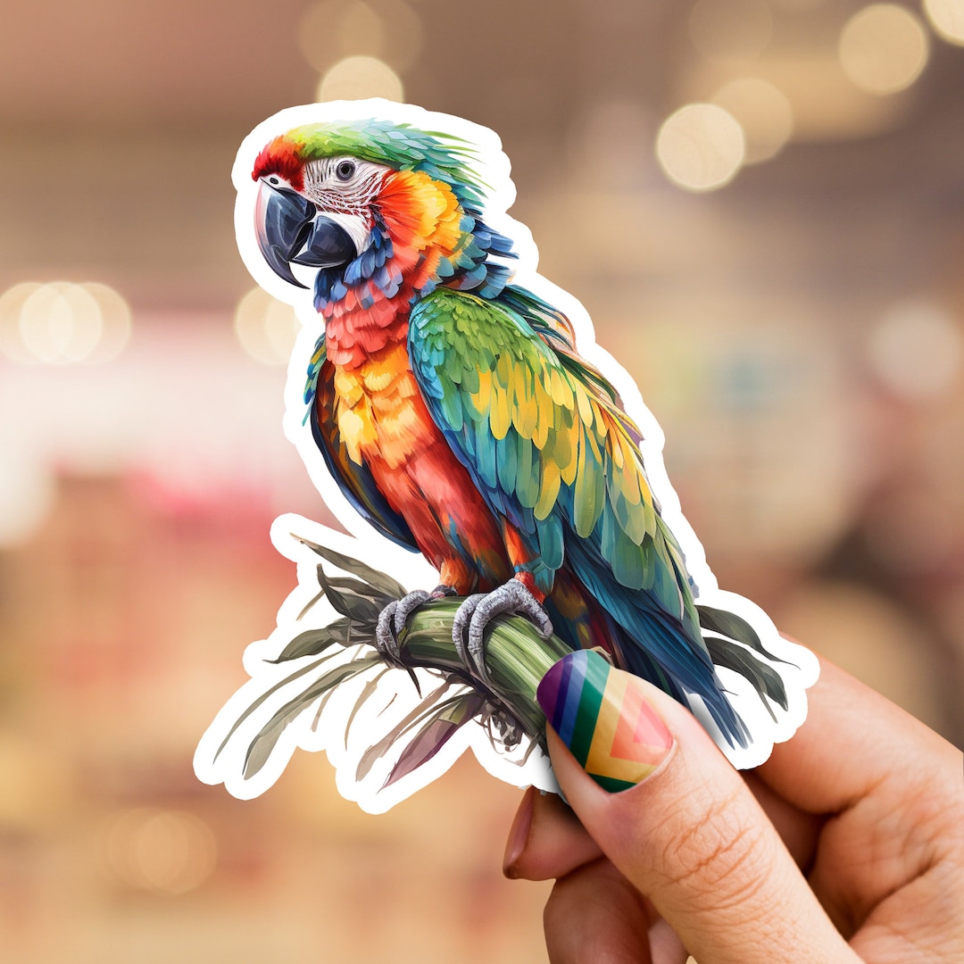 Parrot Sticker, Macaw Sticker, Bird Sticker, Bird, Nature Sticker ...