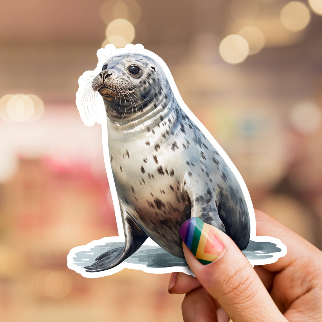 Harbor Seal Sticker, Seal Sticker, Marine Animal Sticker, Seal Lover ...