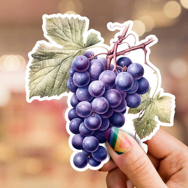 Grapes Sticker Grape Sticker Fruit Sticker Laptop Sticker - Etsy