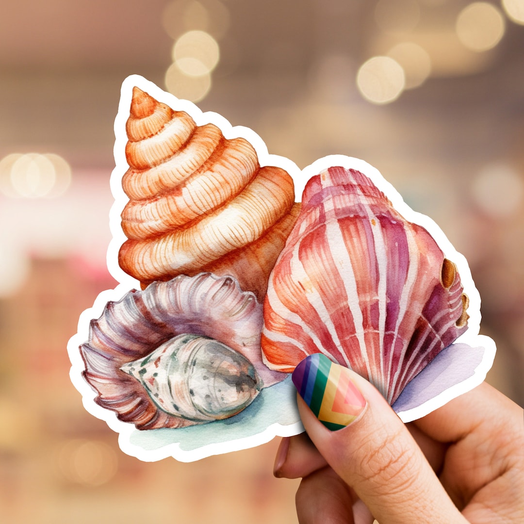 Sea Shell Sticker, Shell Sticker, Beach Sticker, Laptop Sticker, Phone ...