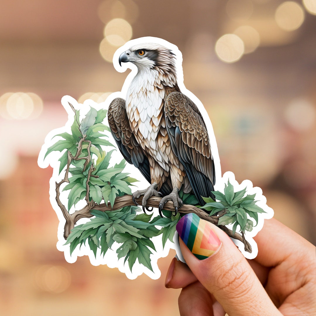 Osprey Hawk Sticker, Hawk Sticker, Eagle Sticker, Osprey Sticker, Bird ...