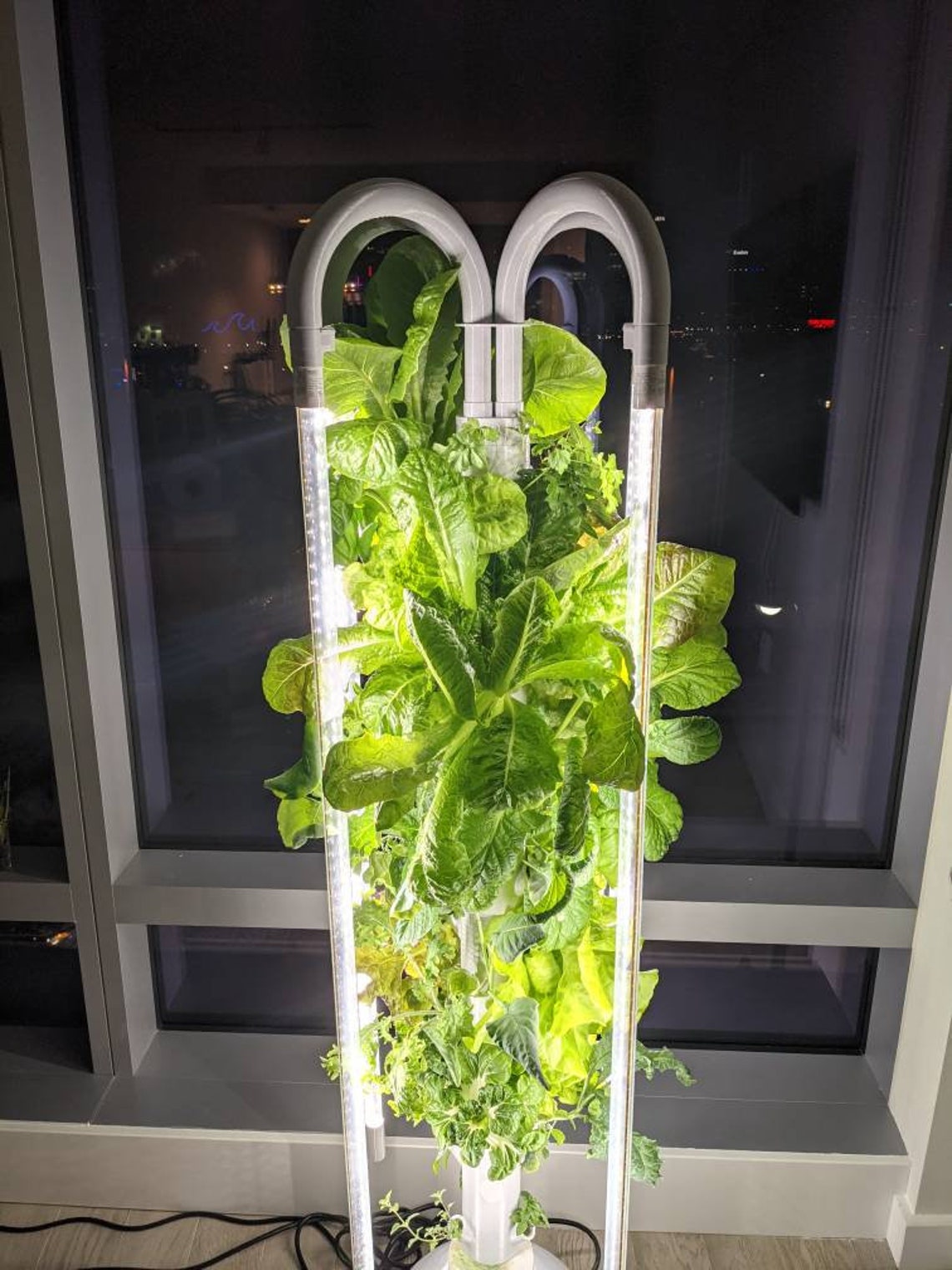 16 Variety Seed Sampler Tested for Hydroponic Gardening. A Mix | Etsy