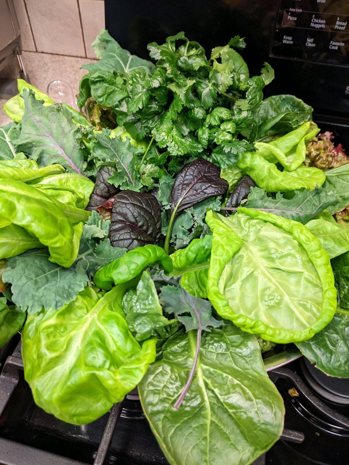 16 Variety Seed Sampler Tested for Hydroponic Gardening. A Mix | Etsy