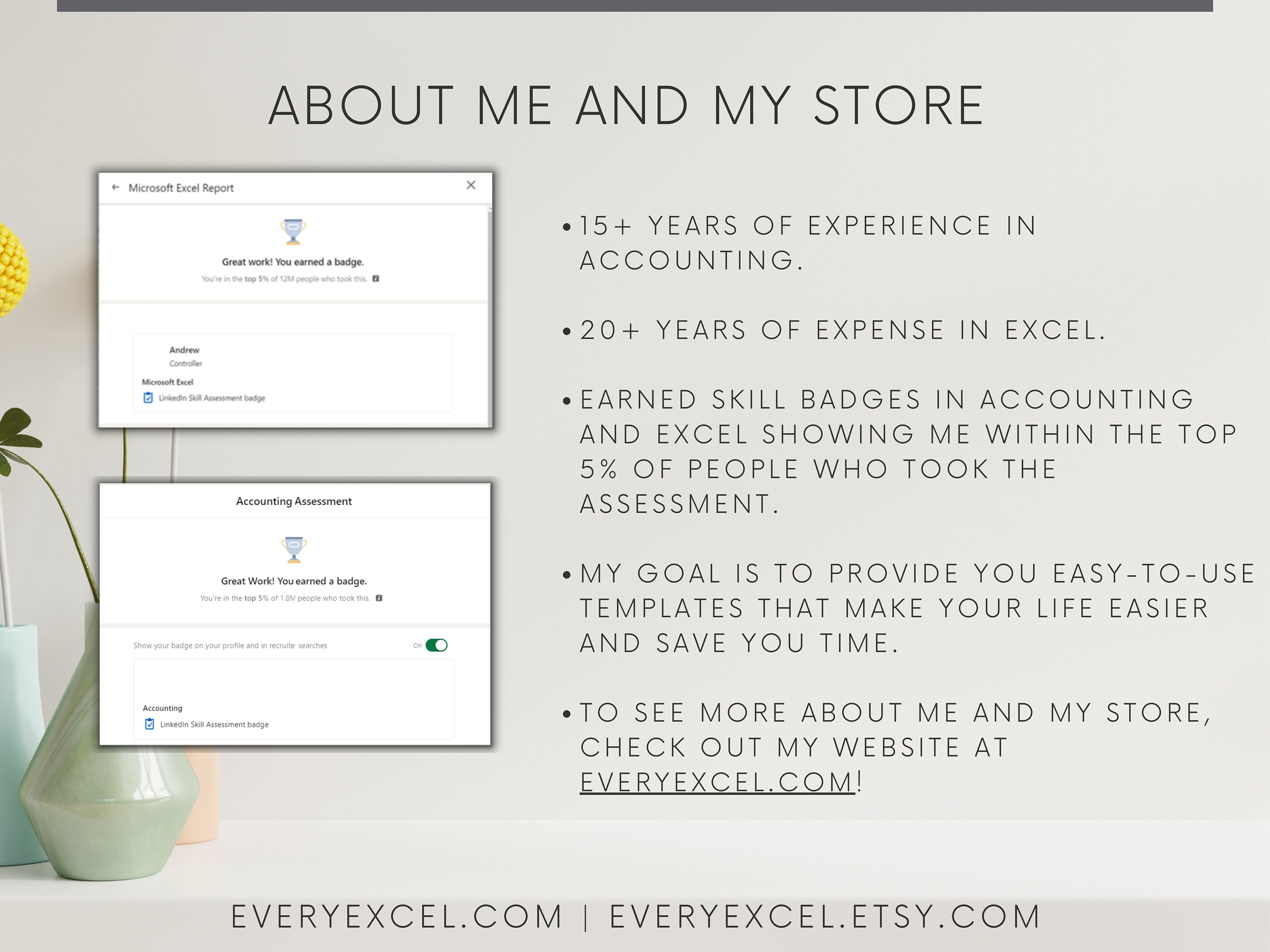 Profit and Loss Project Management Template: Automated Excel (digital ...