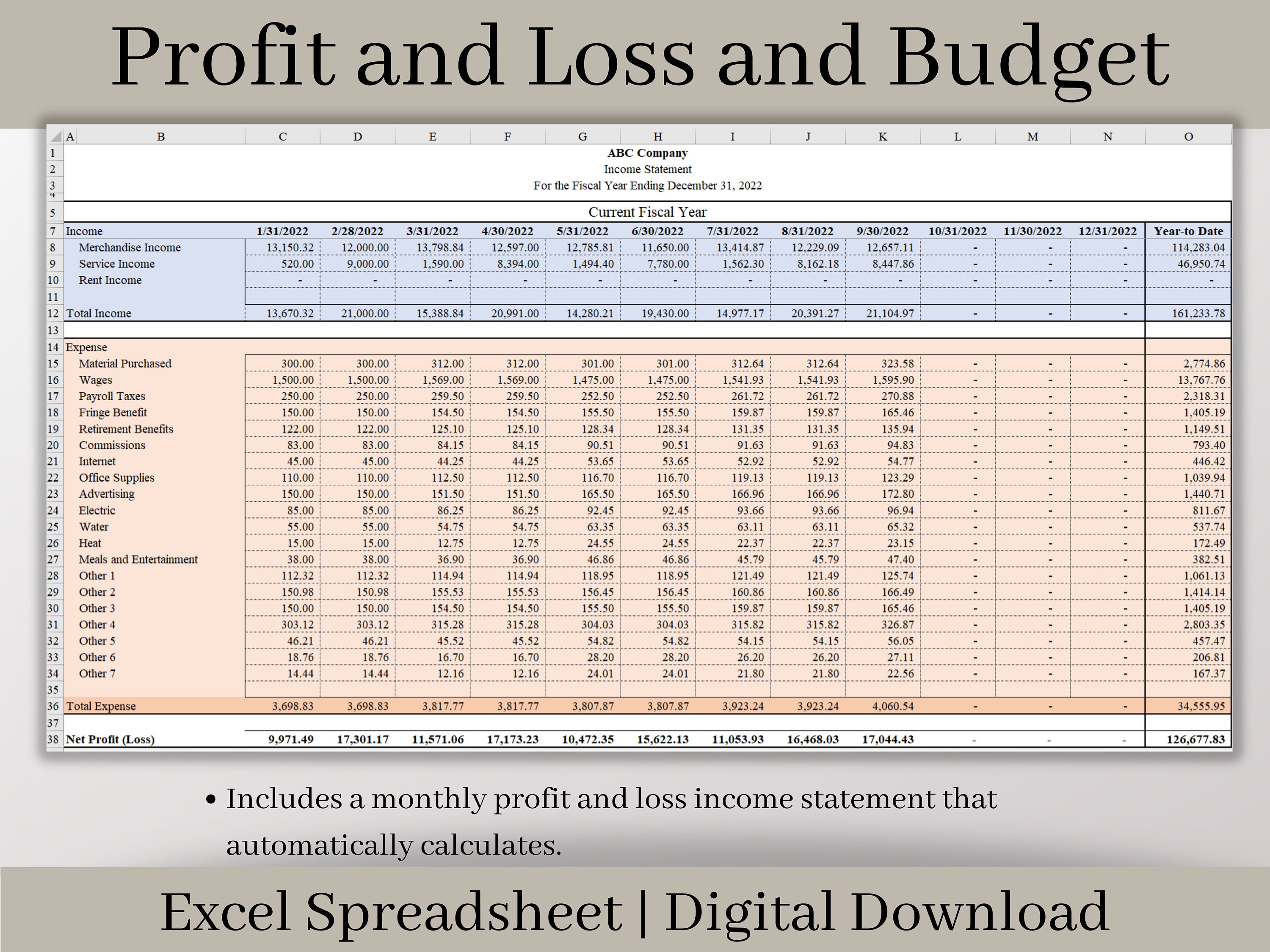 Profit and Loss + Budget Excel Template: Bank Reconciliation (digital ...