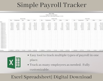 Summary Payroll Report, Easy to Use Employee Payroll Tracker, Summarize ...