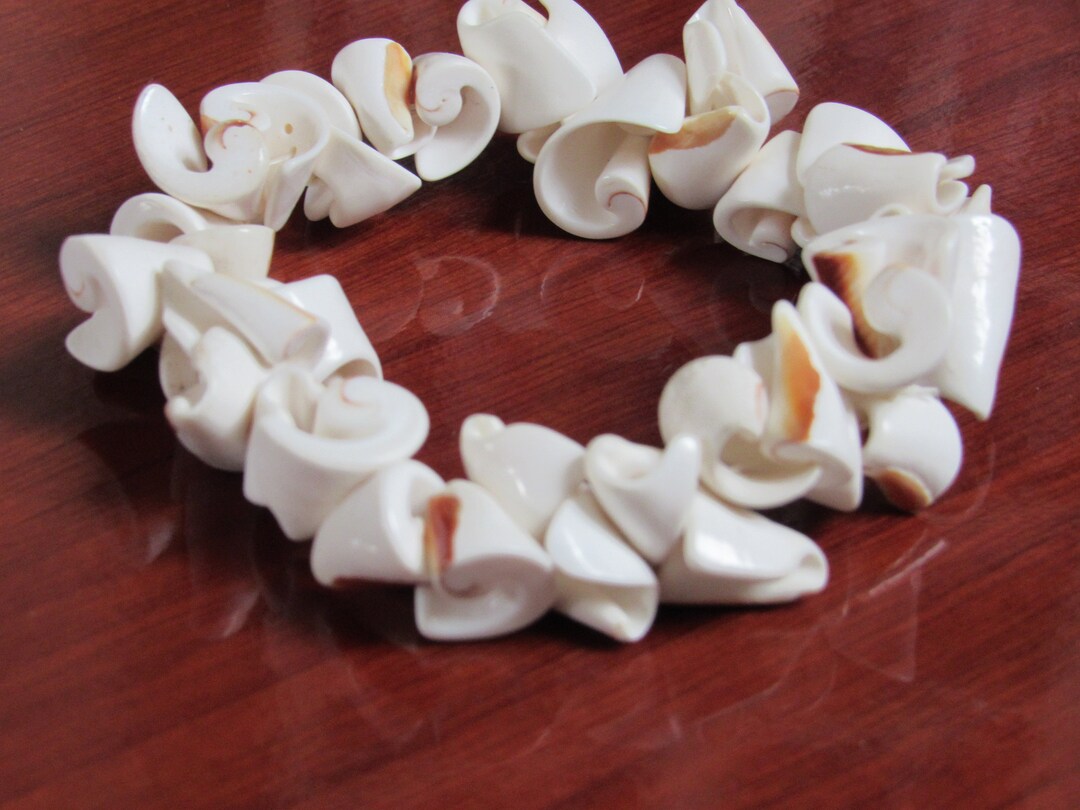 Natural Shell Bracelet - Etsy UK