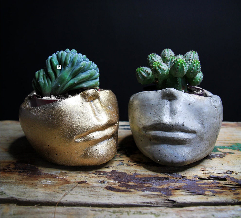 Face Pot for Plants Face Planter Face Cement Planter - Etsy UK