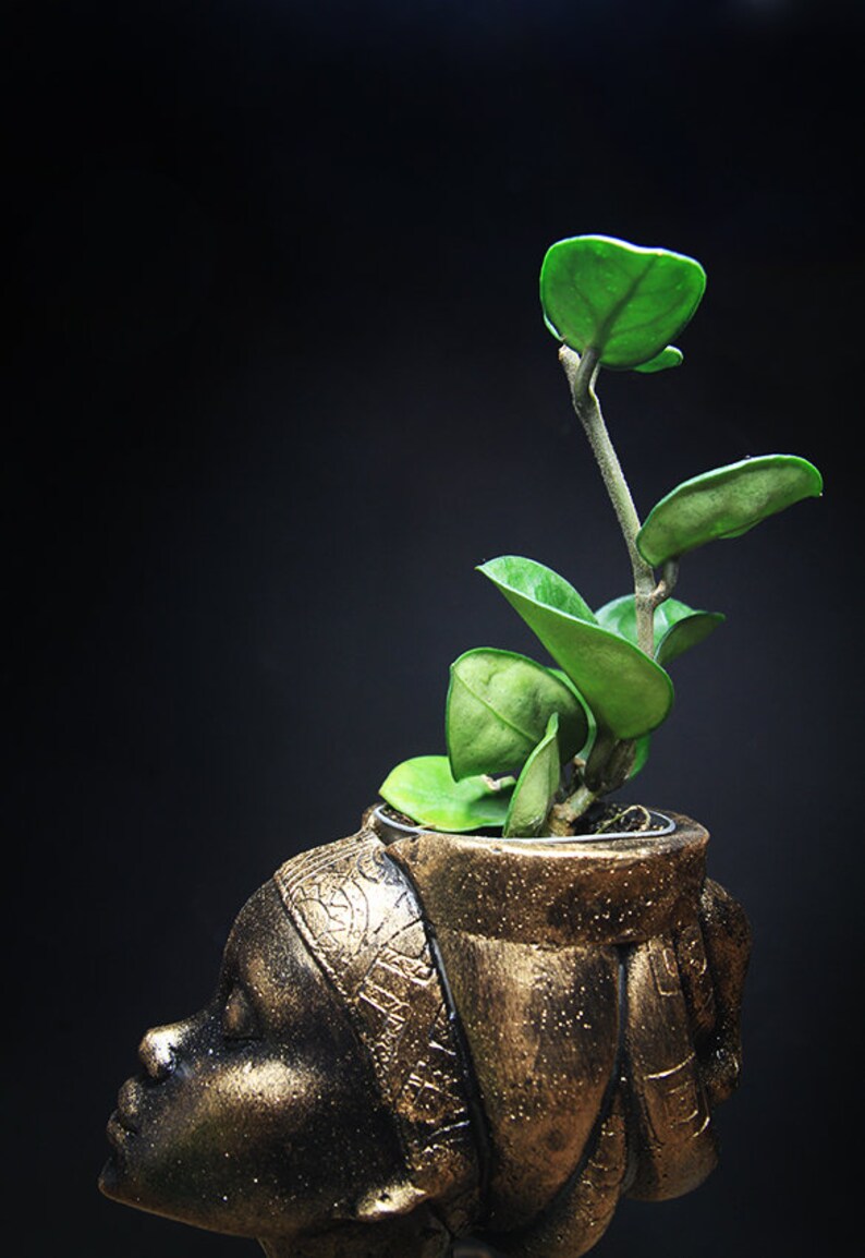 African Woman Face Shaped Flower Pots Head Pots Female Head - Etsy Canada