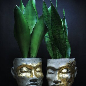 Human Face Shaped Flower Pot - Etsy