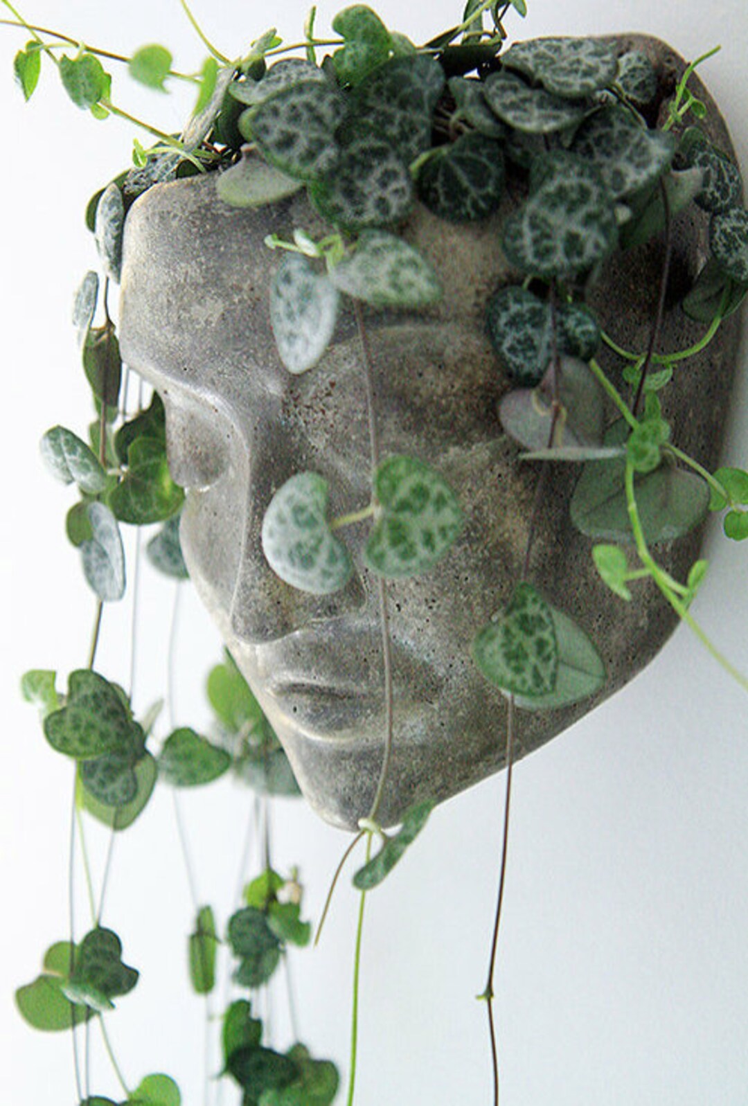Woman Face Wall Hanging Planter Feminine Face Planter Wall, Face ...