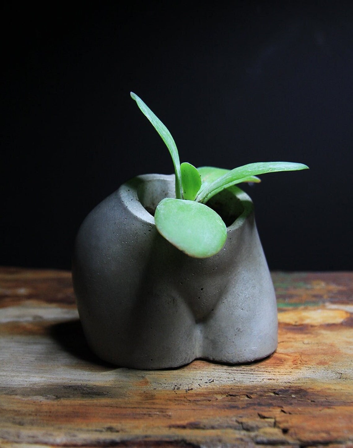 Booty Vase Body Planter Female Body Planter Bum Planter - Etsy UK