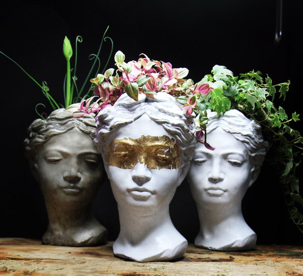 Mobilane Instant Green Screen a Ready Made Privacy Hedge - Etsy Canada