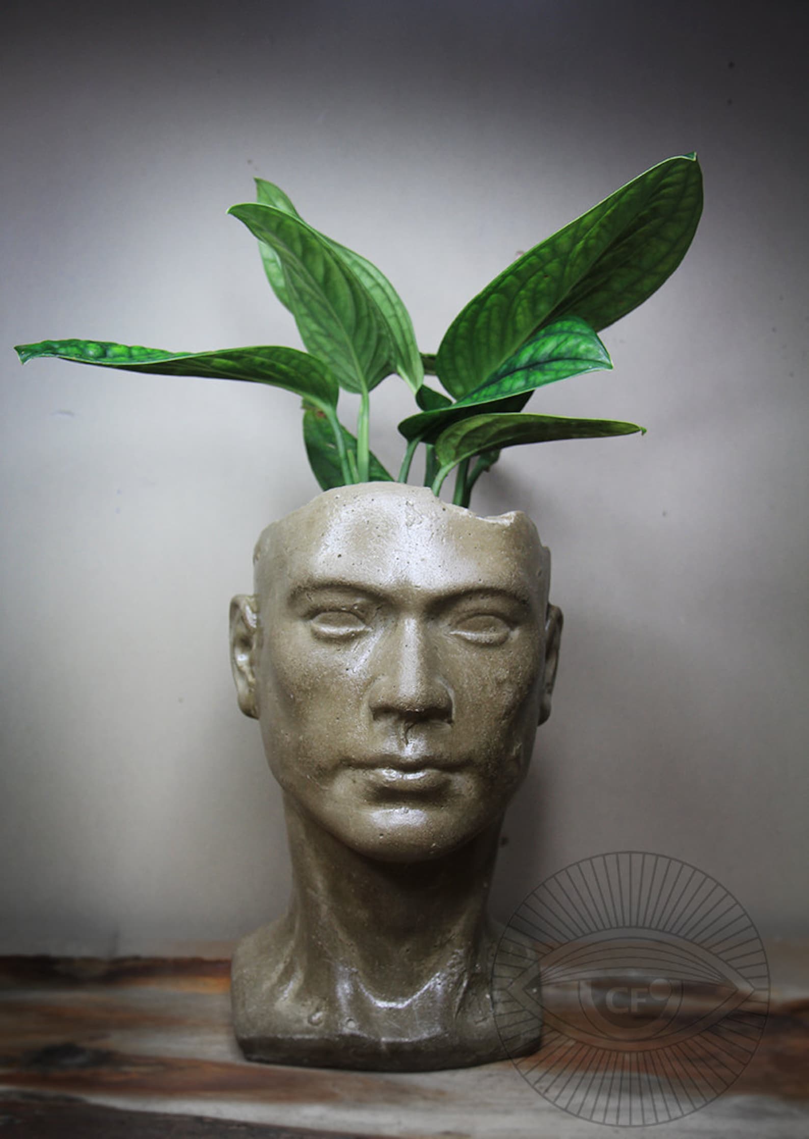 Head Flower Pot Men Head Pot Sculpture Flower Pot | Etsy