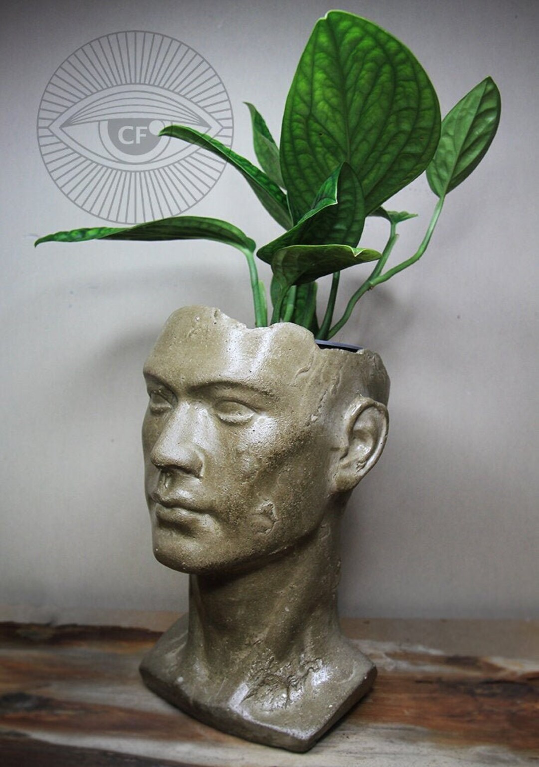 Head Flower Pot, Men Head Pot, Sculpture - Flower Pot, Concrete Pot ...
