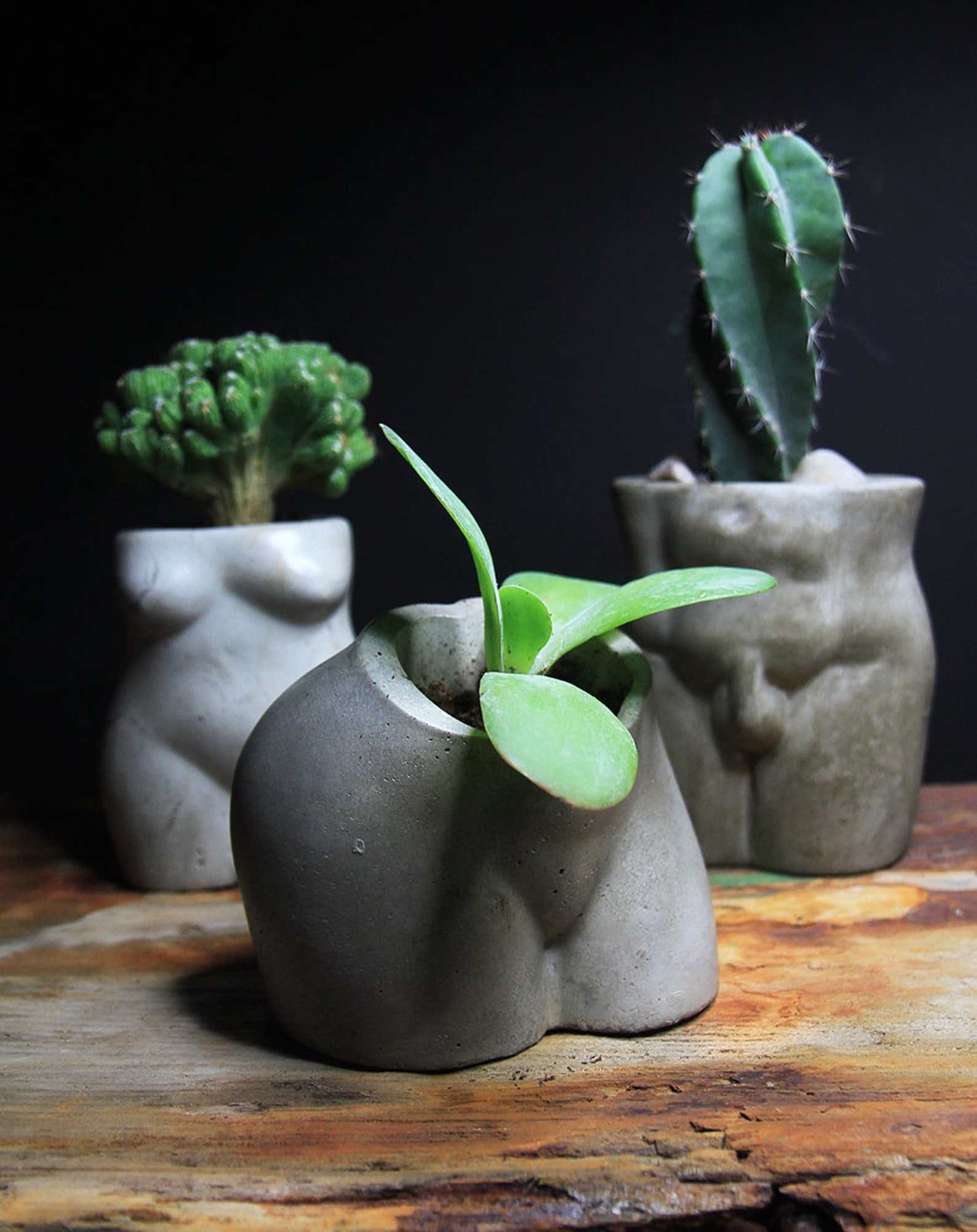 Booty Vase Body Planter Female Body Planter Bum Planter - Etsy UK