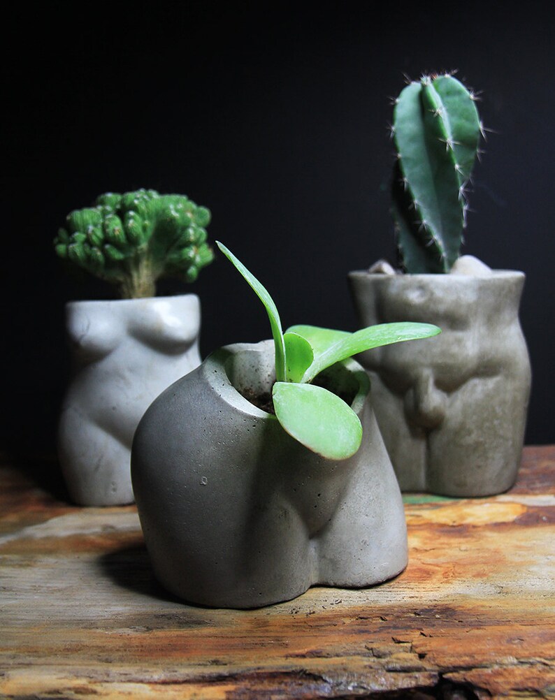 Booty Vase Body Planter Female Body Planter Bum Planter - Etsy UK