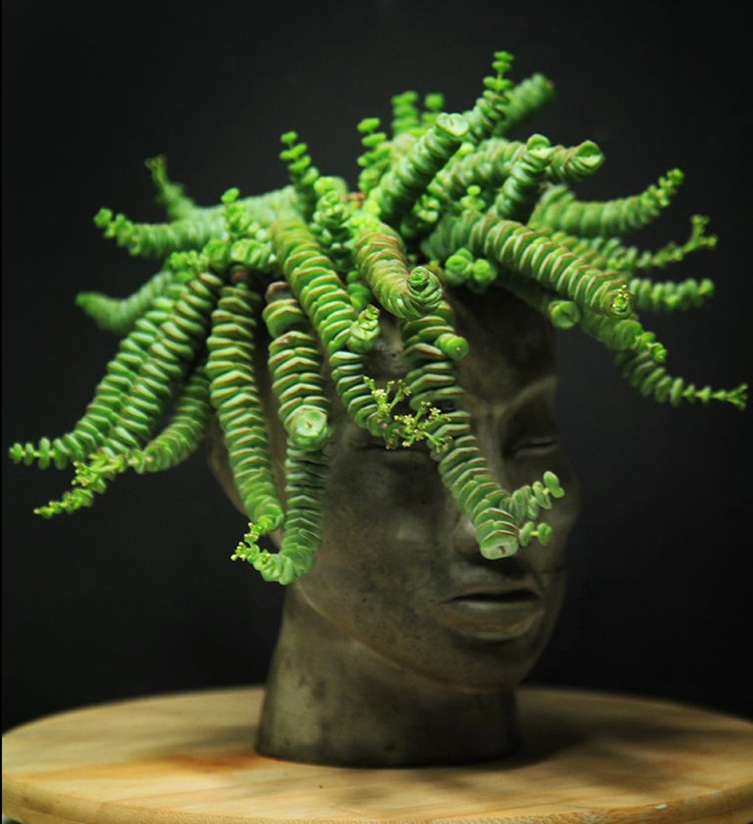 Human Face Shaped Flower Pot - Etsy