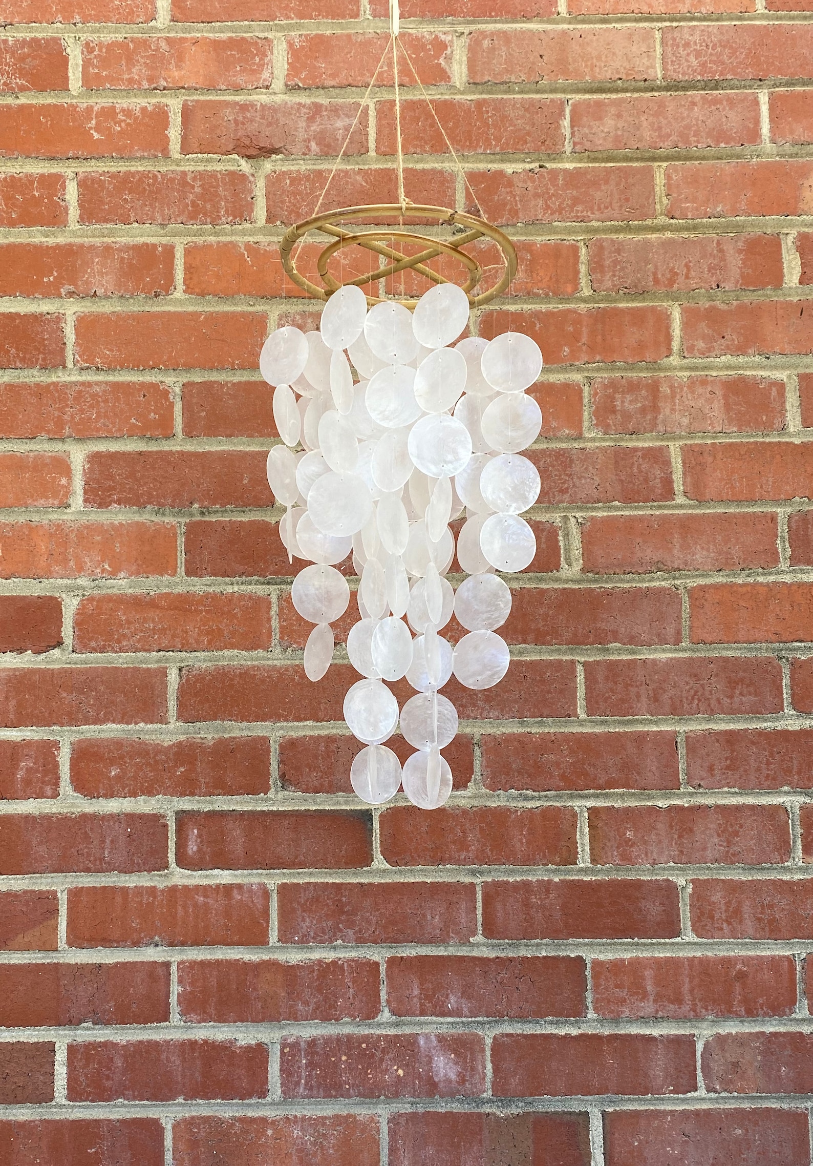 30 Round Capiz Shells 2 5cm With 2 Holes in Various | Etsy