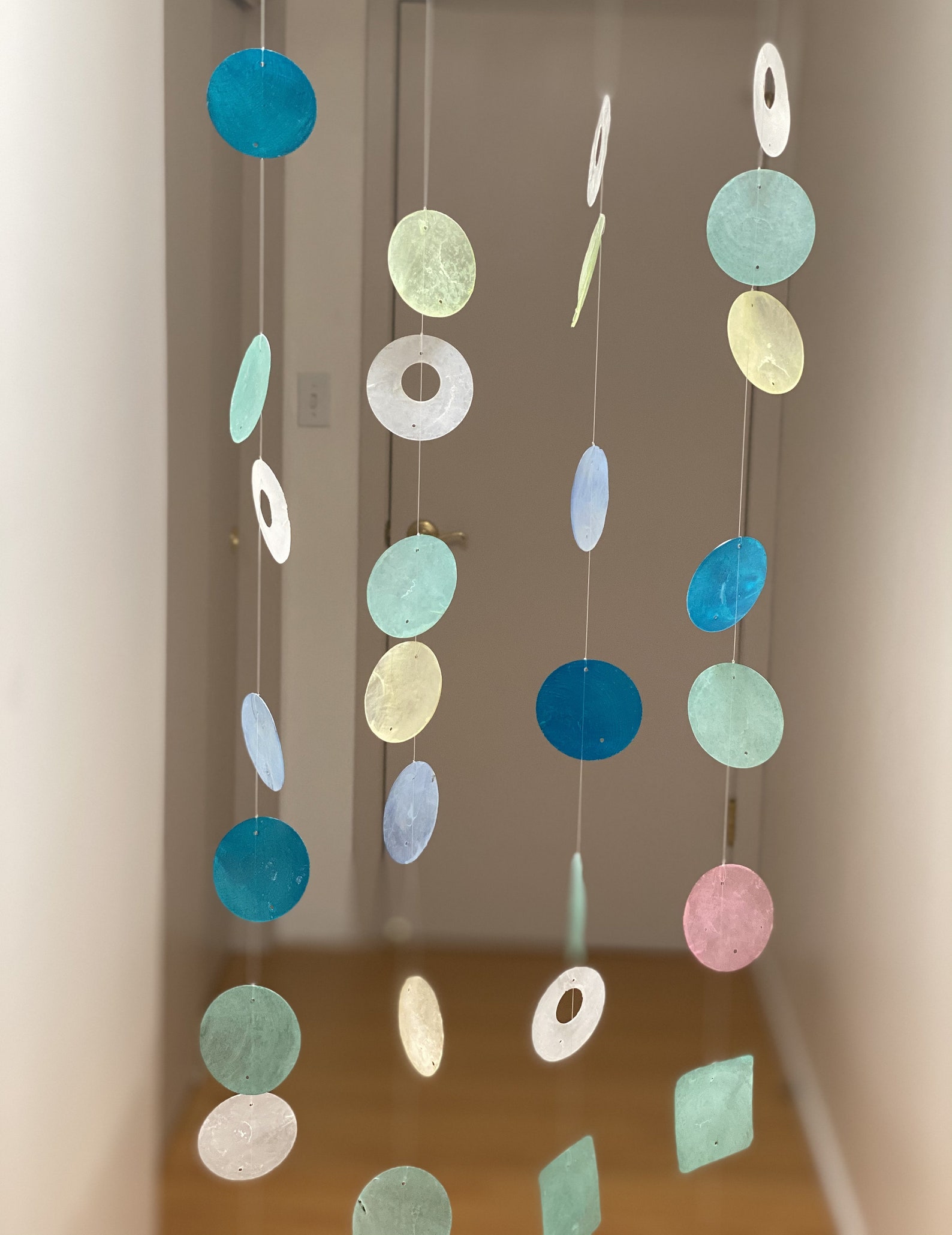 30 Round Capiz Shells 2 5cm With 2 Holes in Various | Etsy