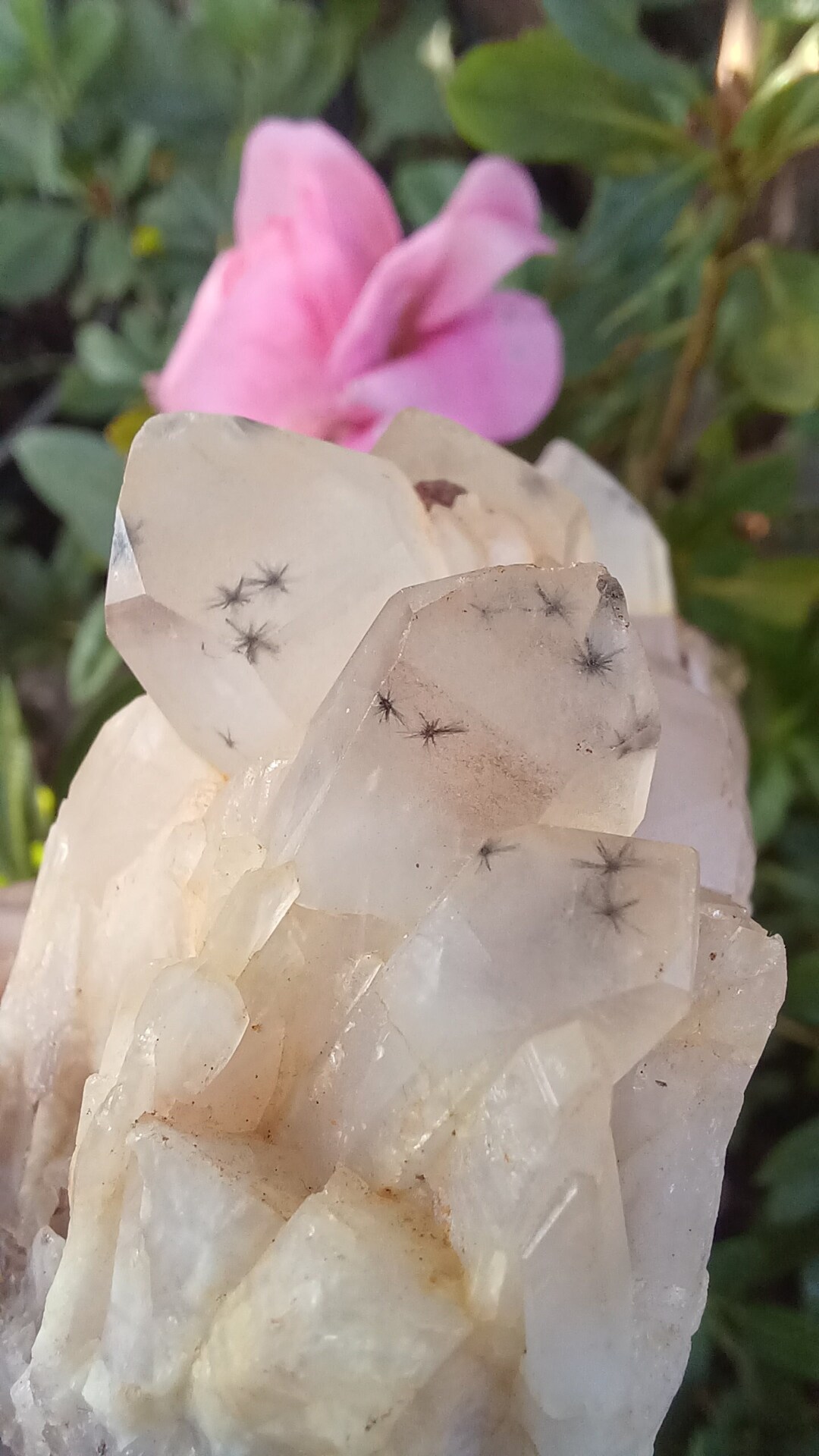 RARE Red Natural Hollandite Star/urchin Quartz Cluster Home Altar Decor ...