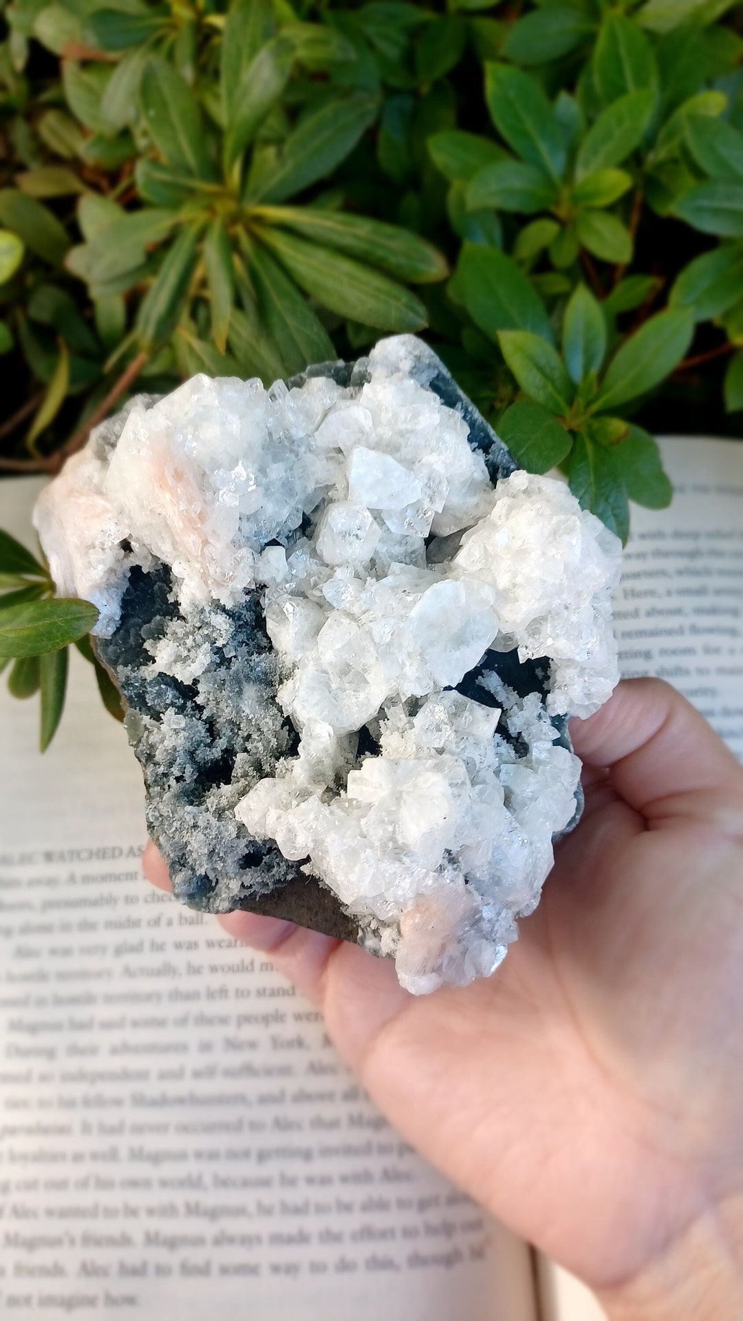 Apophyllite With Black Chalcedony and Stilbite Natural Raw Zeolite ...