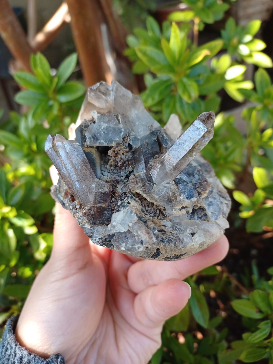Natural Quartz With Specularite in Matrix Snail Shape Cluster Crystal ...