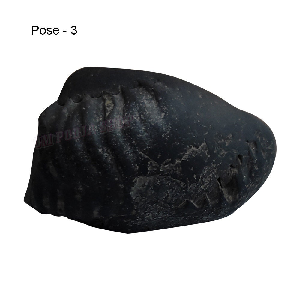 Bal Gopal Vasudeva Shaligram Shila Stone Natural God Krishna - Etsy